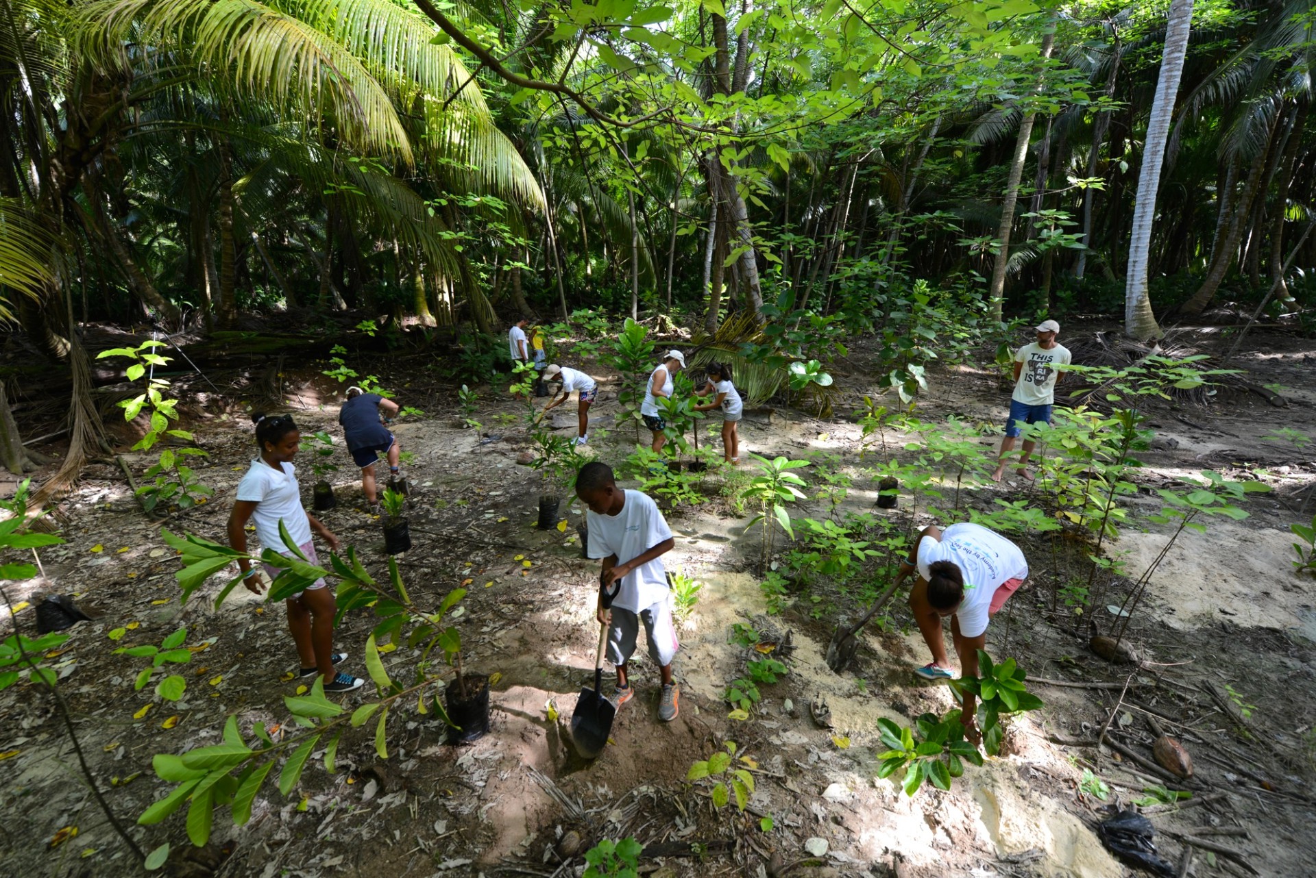 Ecosystem rehabilitation - SOSF D'Arros Research Centre