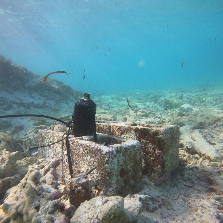 Listening to the Sharks - SOSF D'Arros Research Centre