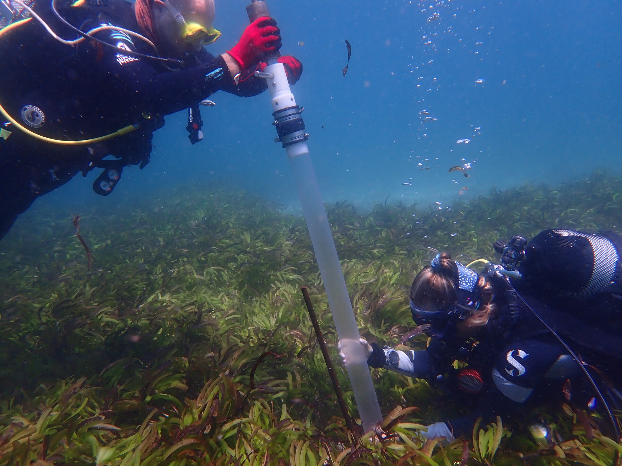 Mapping the seagrass habitats of the Republic of Seychelles - SOSF D ...
