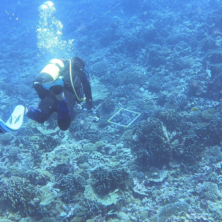 Mapping The Reef - SOSF D'Arros Research Centre