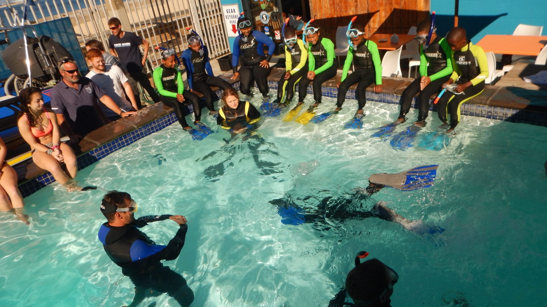 The pool is the classroom - SOSF Shark Education Centre