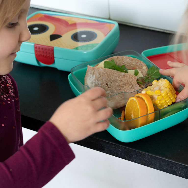 Ideas to help you pack a lunch box with minimal waste - SOSF Shark ...