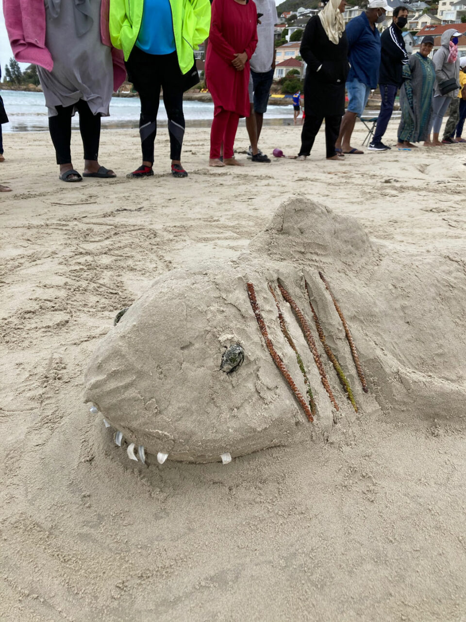 The Shark Smart Swim Challenge at Fish Hoek Beach: a win for sharks ...