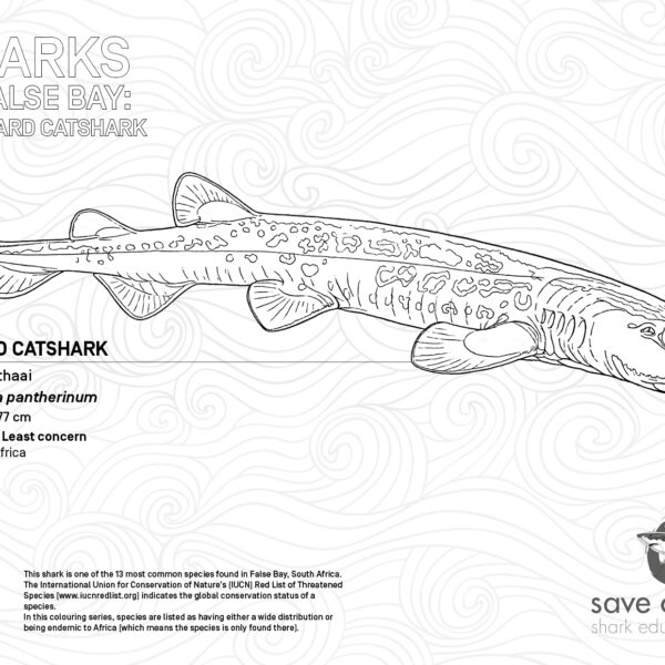 Colouring Sheets - SOSF Shark Education Centre