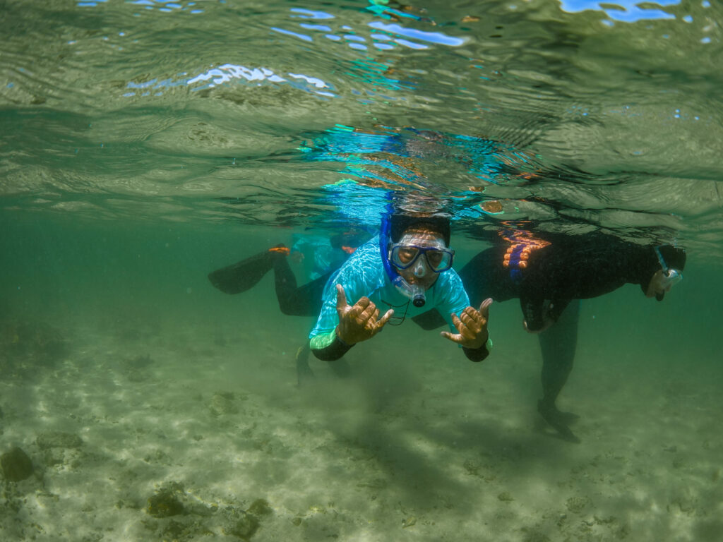 Marine Explorer Programme Reflection - SOSF Shark Education Centre