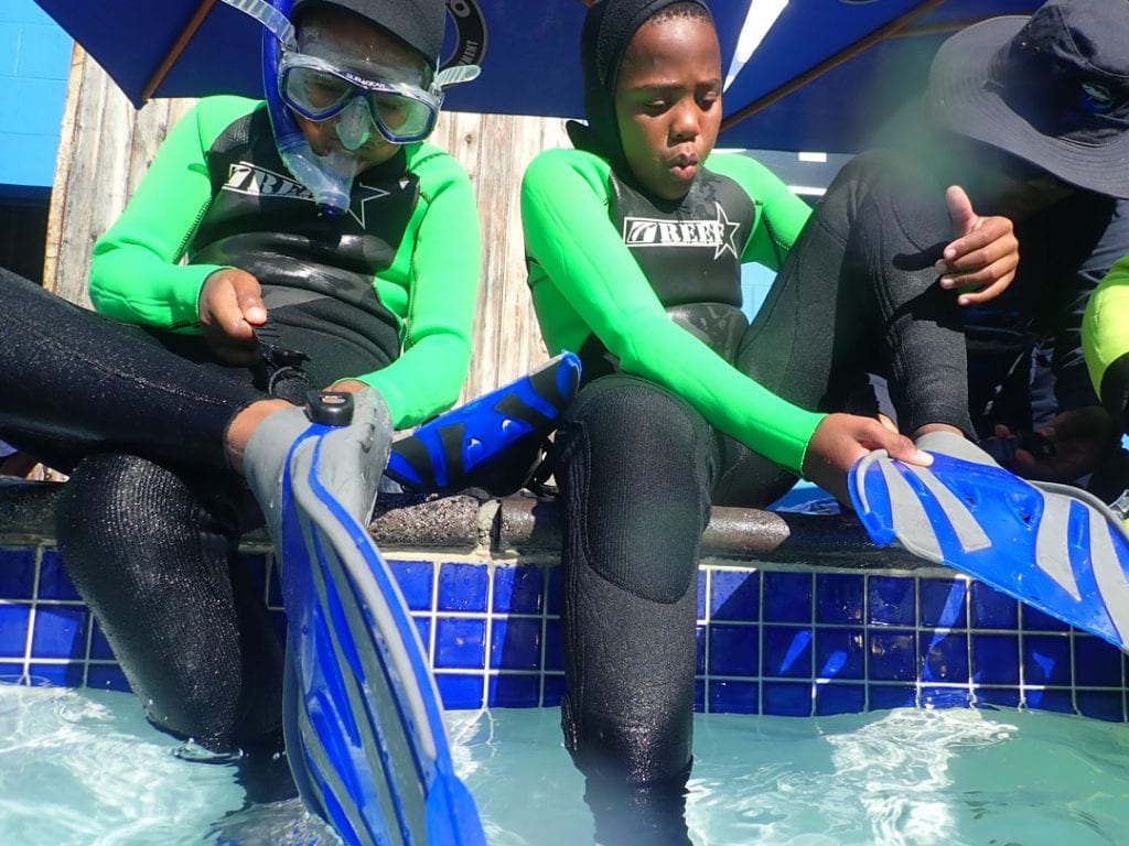 P4260033 - SOSF Shark Education Centre