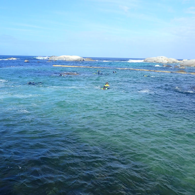 Capricorn Primary Marine Explorers Snorkeling 2019 - SOSF Shark ...