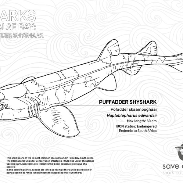 Colouring Sheets - SOSF Shark Education Centre