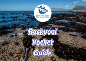 RockPool Pocket Guide - SOSF Shark Education Centre