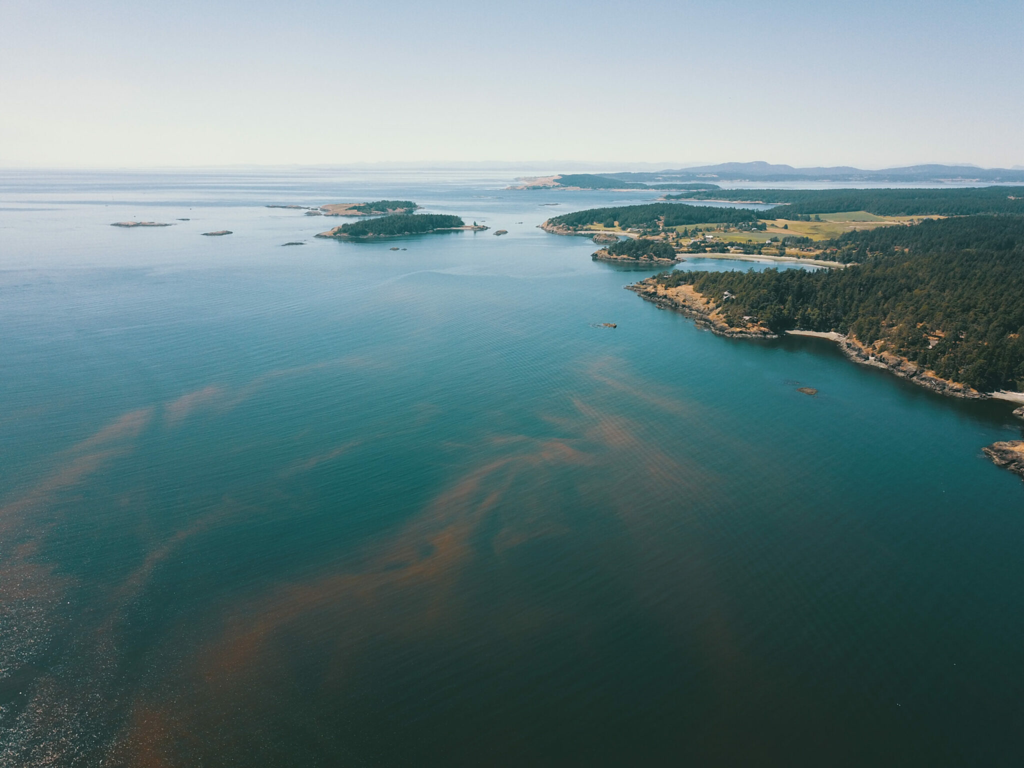 What is Upwelling? - SOSF Shark Education Centre