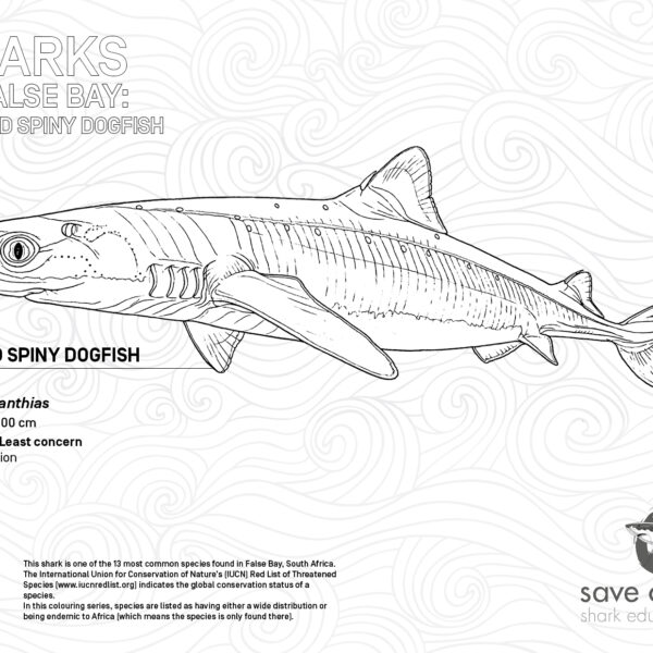 Colouring Sheets - SOSF Shark Education Centre
