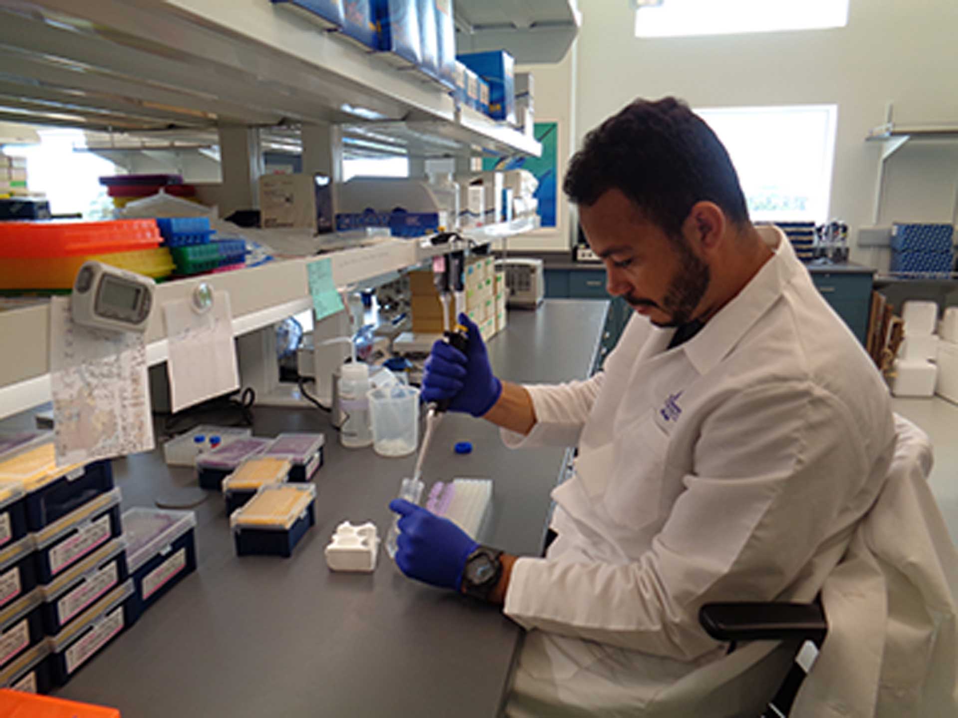 Night sharks and silky sharks in the Western Atlantic - SOSF Shark ...