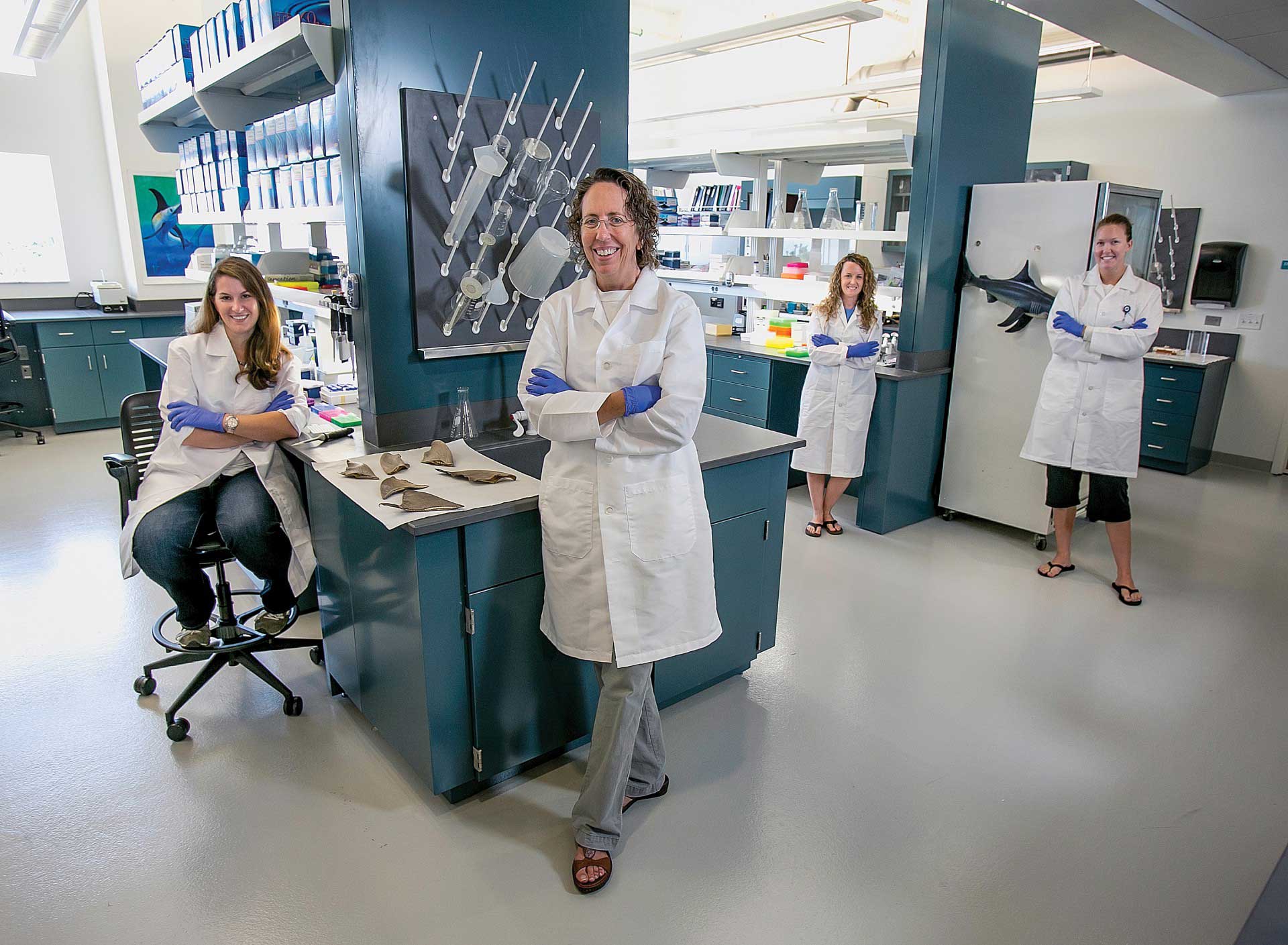 SOSF-SRC-Gallery01-Image003-Lab-shot - SOSF Shark Research Center