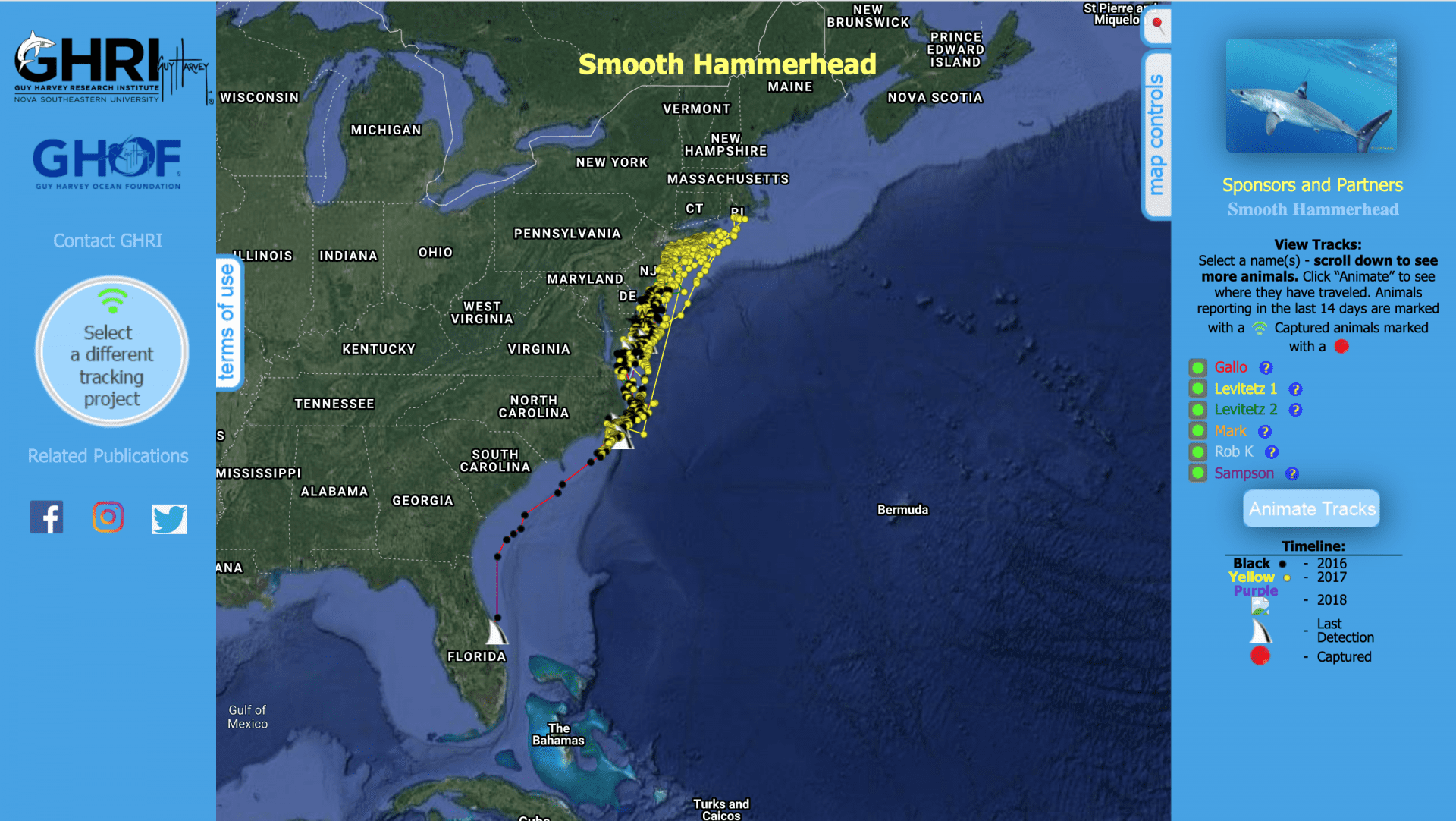 Hammering home - SOSF Shark Research Center