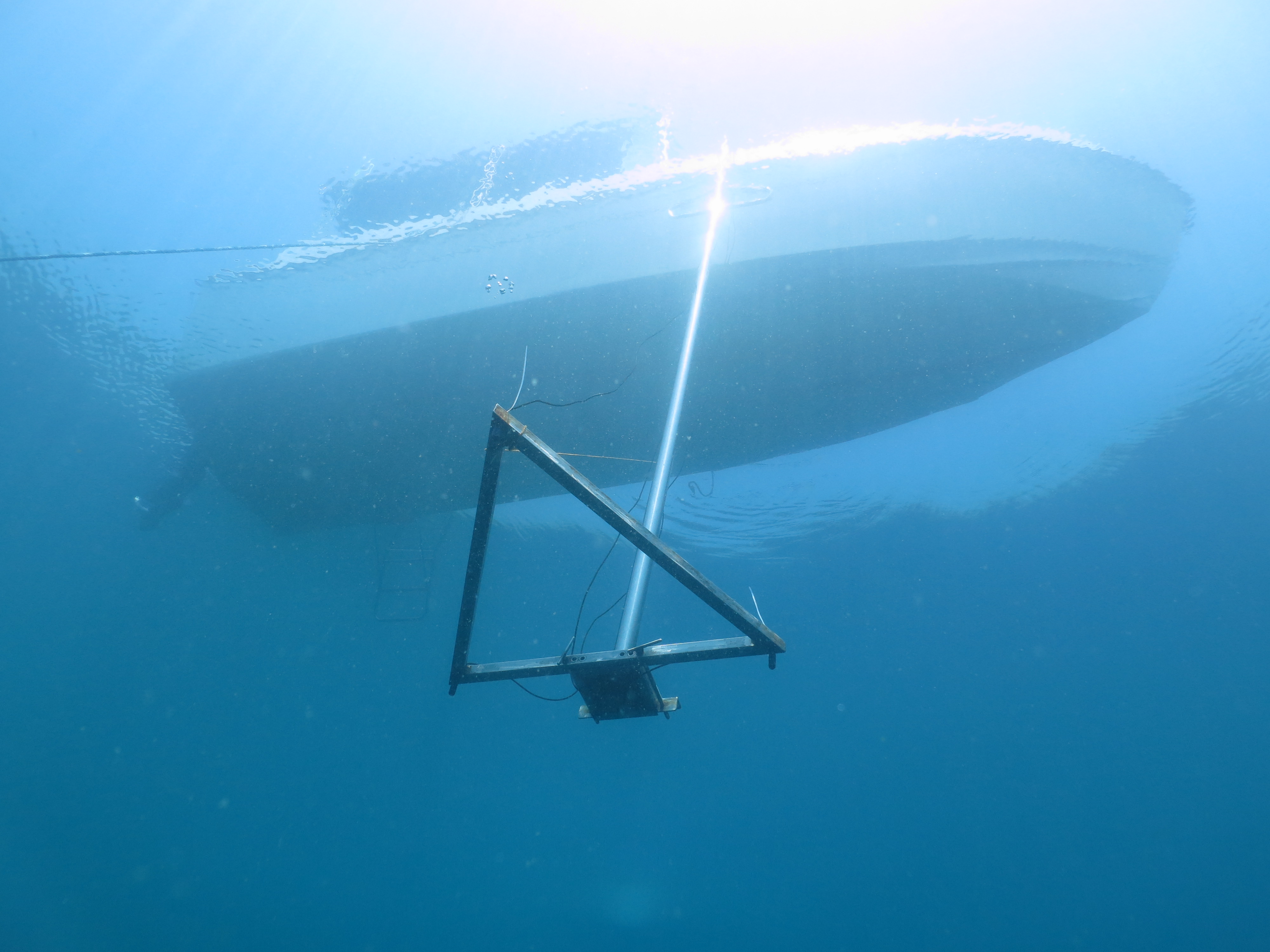Fighting fish bombing with high tech - Save Our Seas Foundation