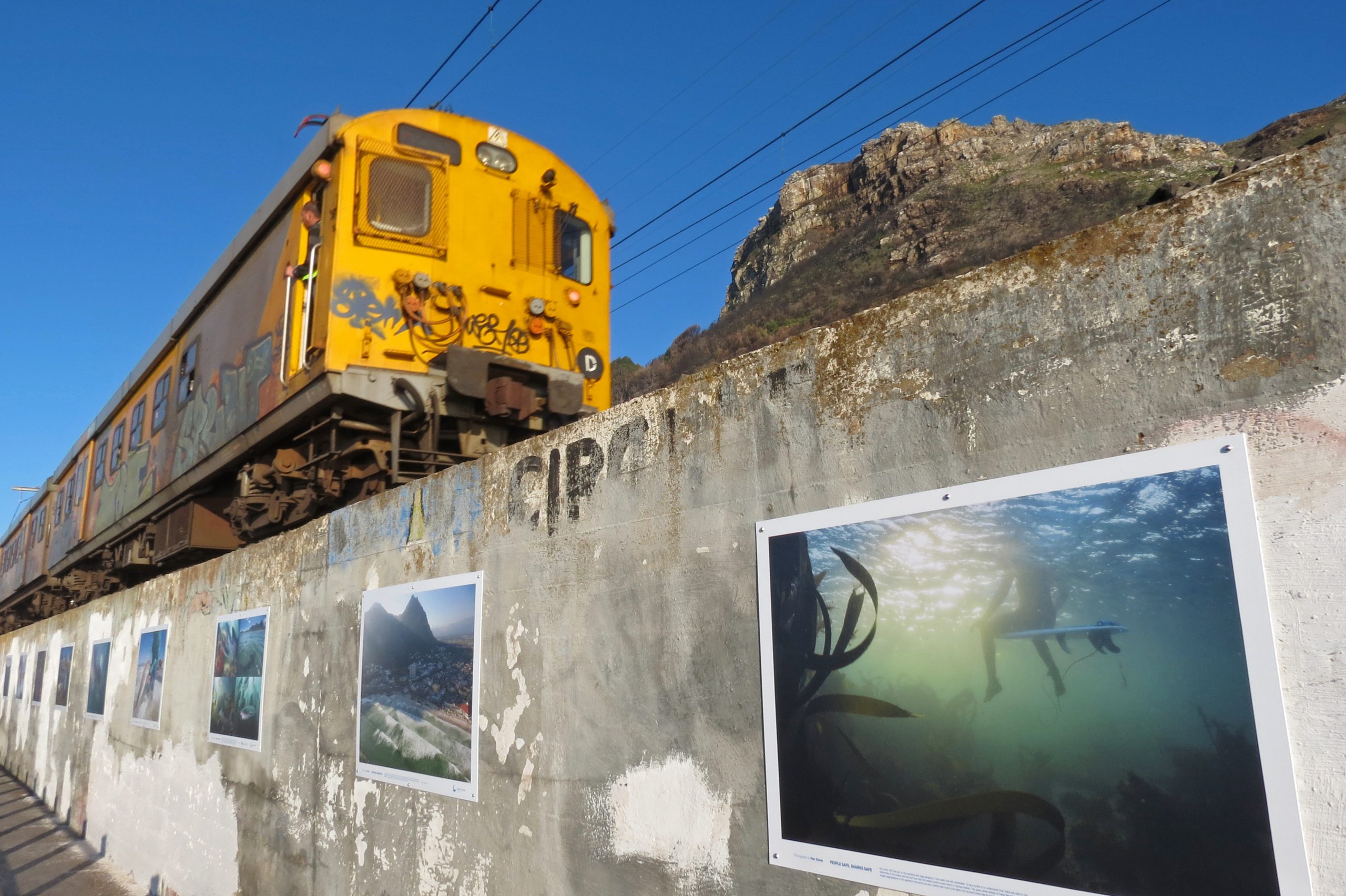 A photo exhibition by the sea - Save Our Seas Foundation