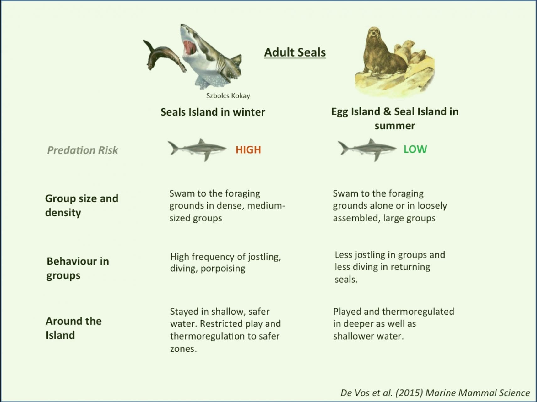 A seal’s survival guide - Save Our Seas Foundation