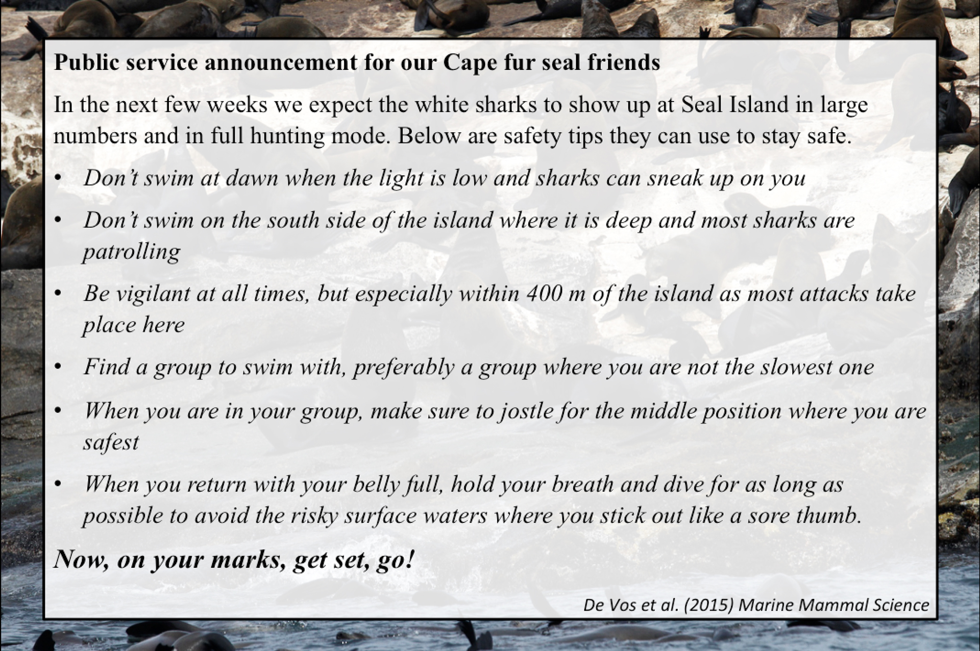 A seal’s survival guide - Save Our Seas Foundation