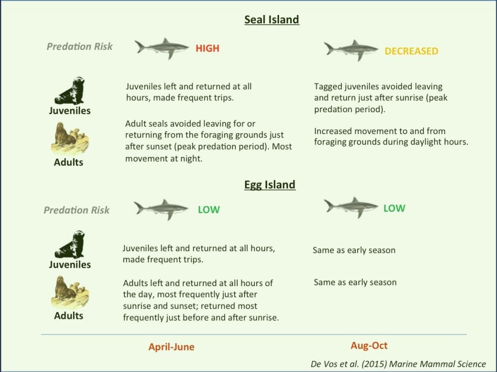 A seal’s survival guide - Save Our Seas Foundation