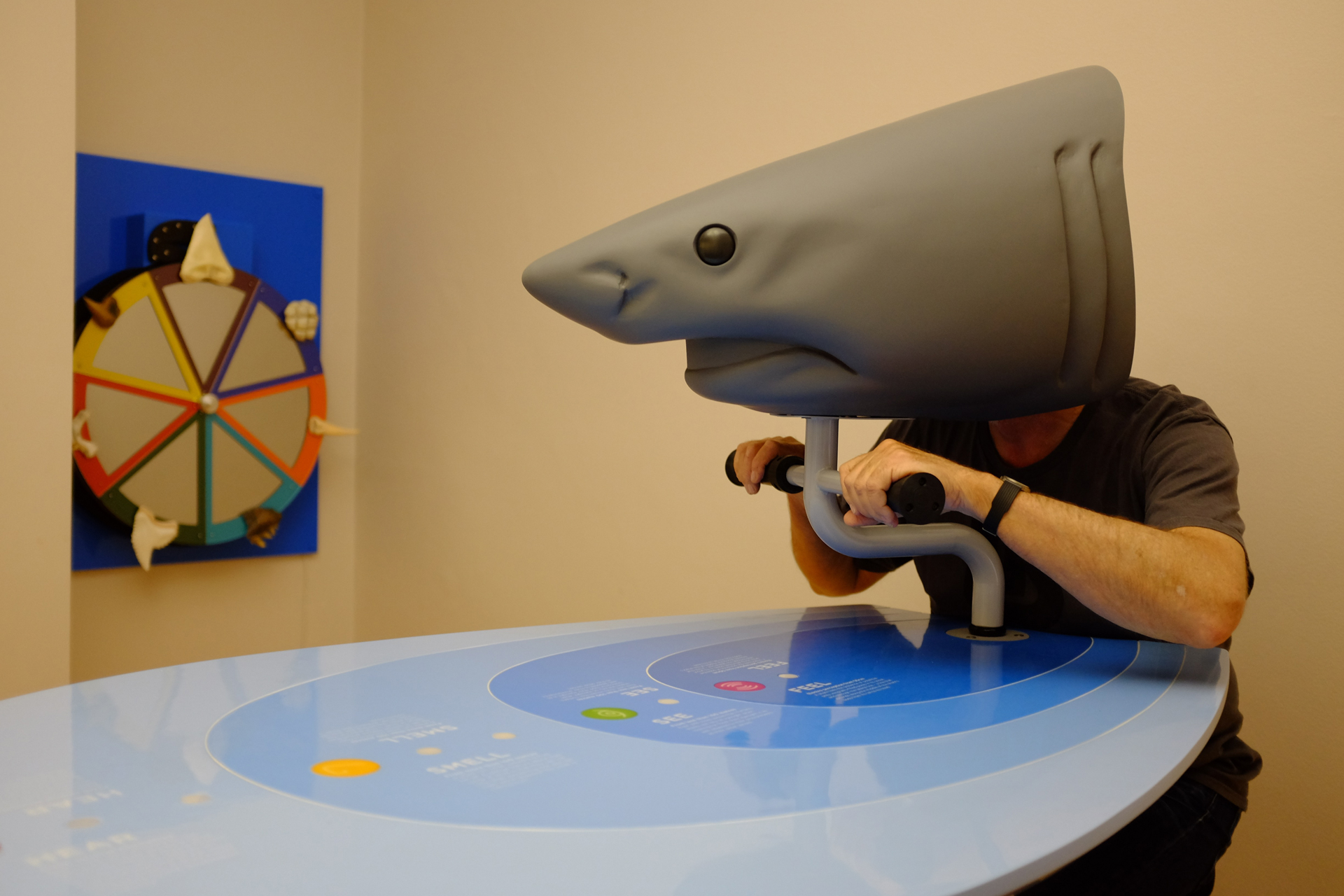 Shark Senses Virtual Reality Exhibit at SOSF's Shark Education Scoops ...