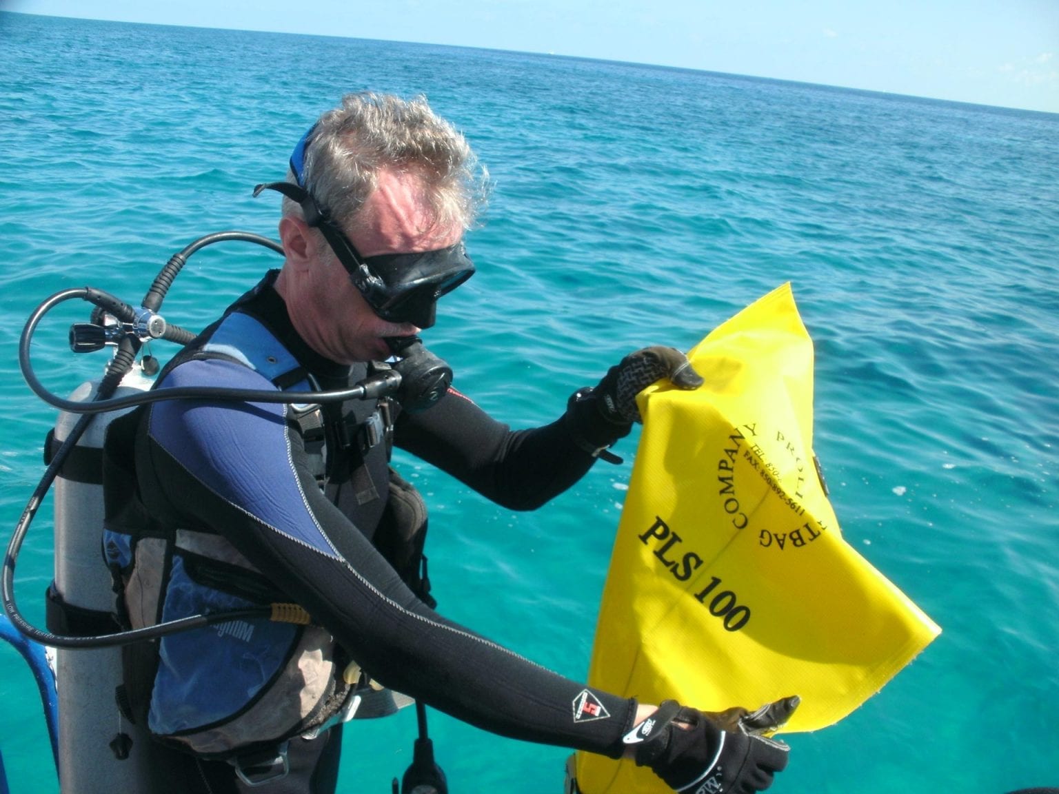 How to catch a predator - Save Our Seas Foundation