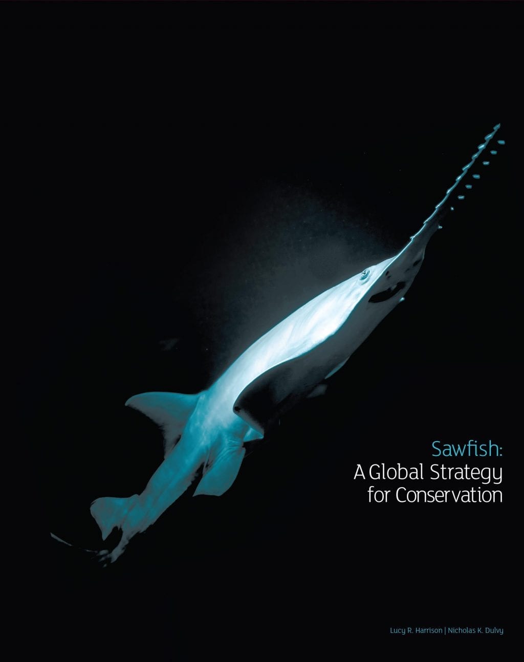 Global Sawfish Conservation Strategy - 2014 - IUCN SSG - Cover EN ...