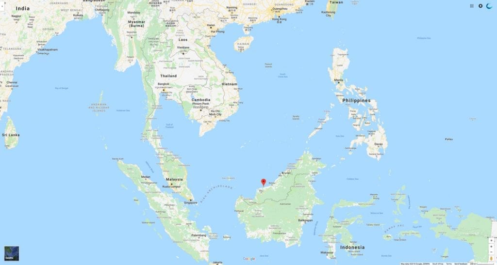 Save the sharks to keep oceans healthy - Save Our Seas Foundation