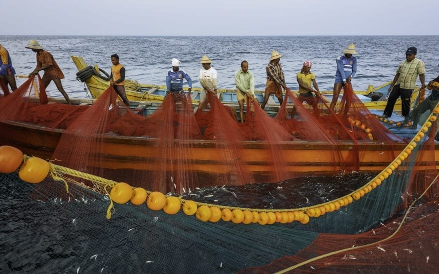 Slavery with your seafood? - Save Our Seas Foundation