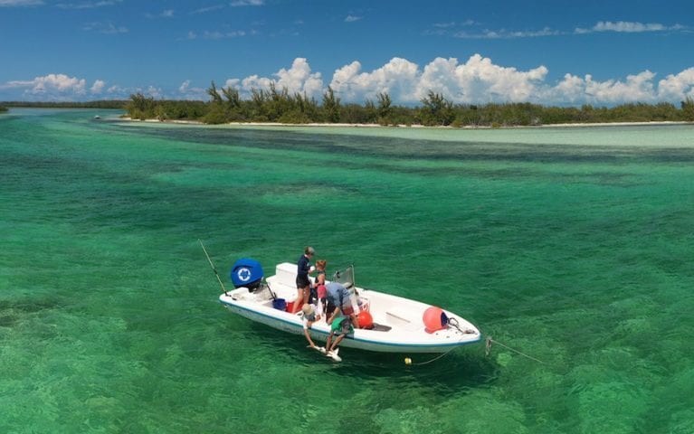 Home on the Lemon Shark Range - Save Our Seas Foundation