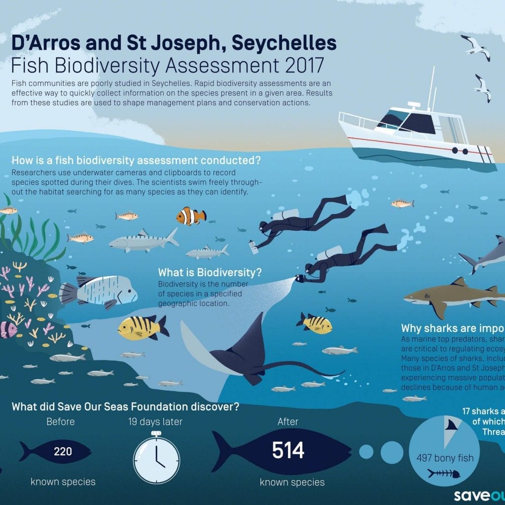 Infographics Save Our Seas Foundation