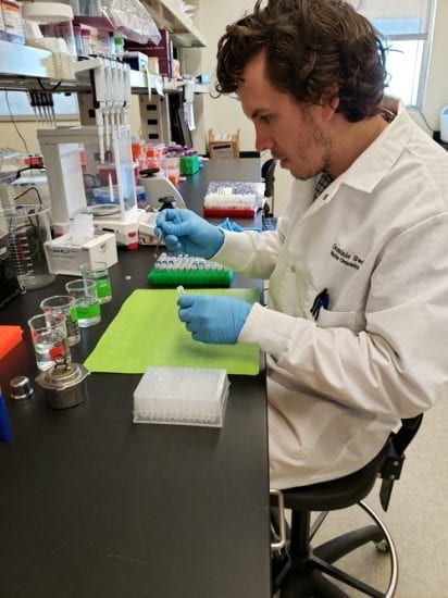 Sequencing Shark DNA - Save Our Seas Foundation