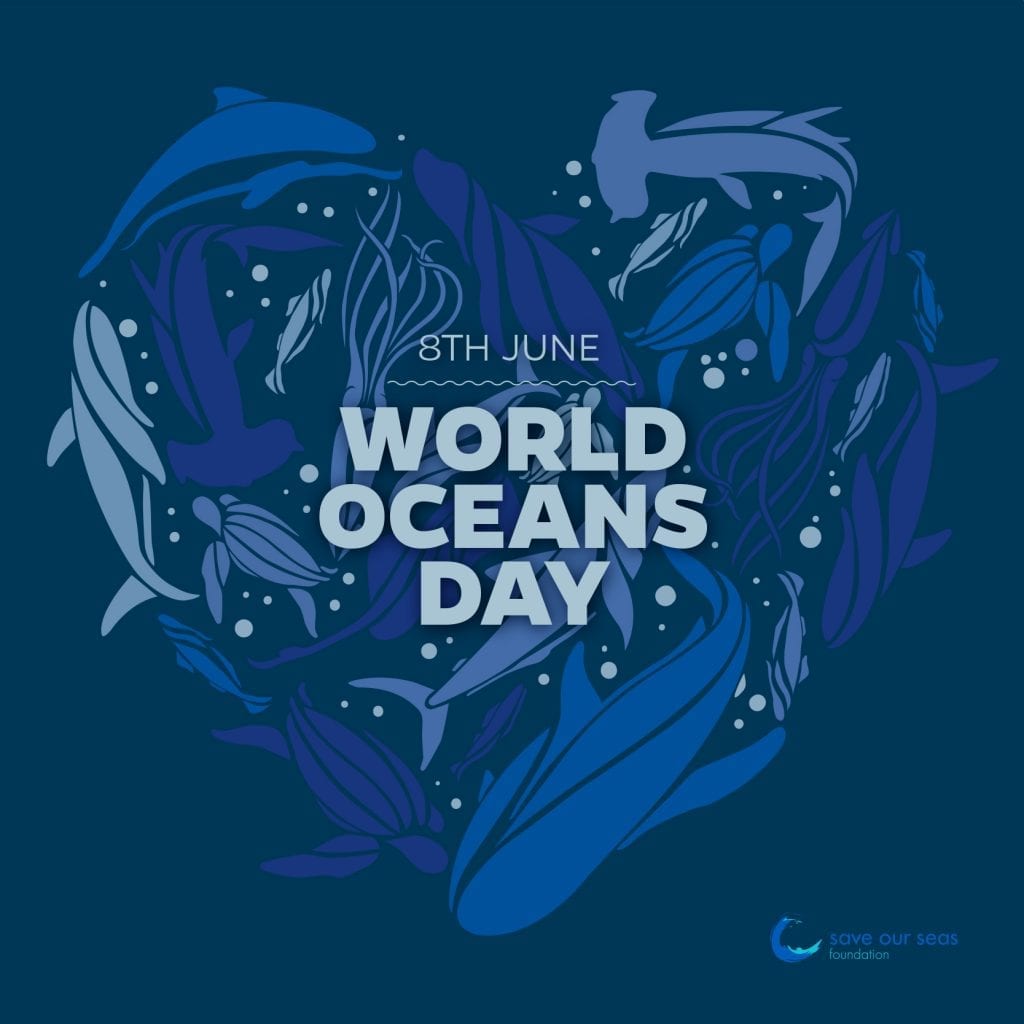 World Oceans Day 2019 - Save Our Seas Foundation