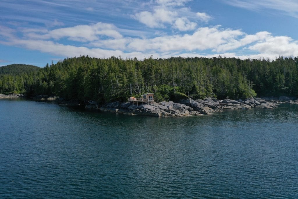 The Season Begins - Save Our Seas Foundation