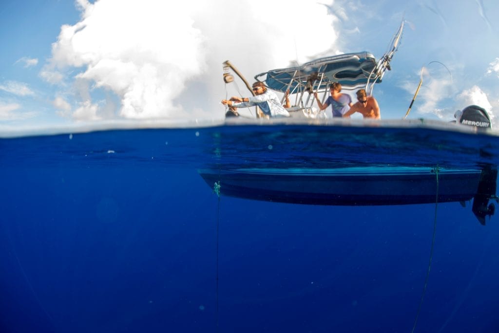 What Lies Beneath – the deep, dark side of the Bimini Sharklab - Save ...