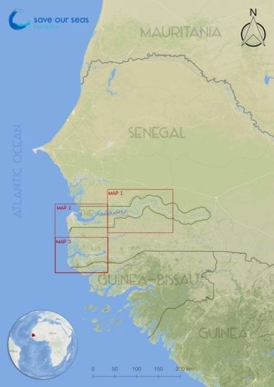 Crossing The Gambia - Save Our Seas Foundation