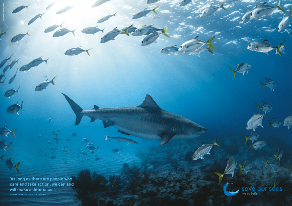 Public poster - Save Our Seas Foundation