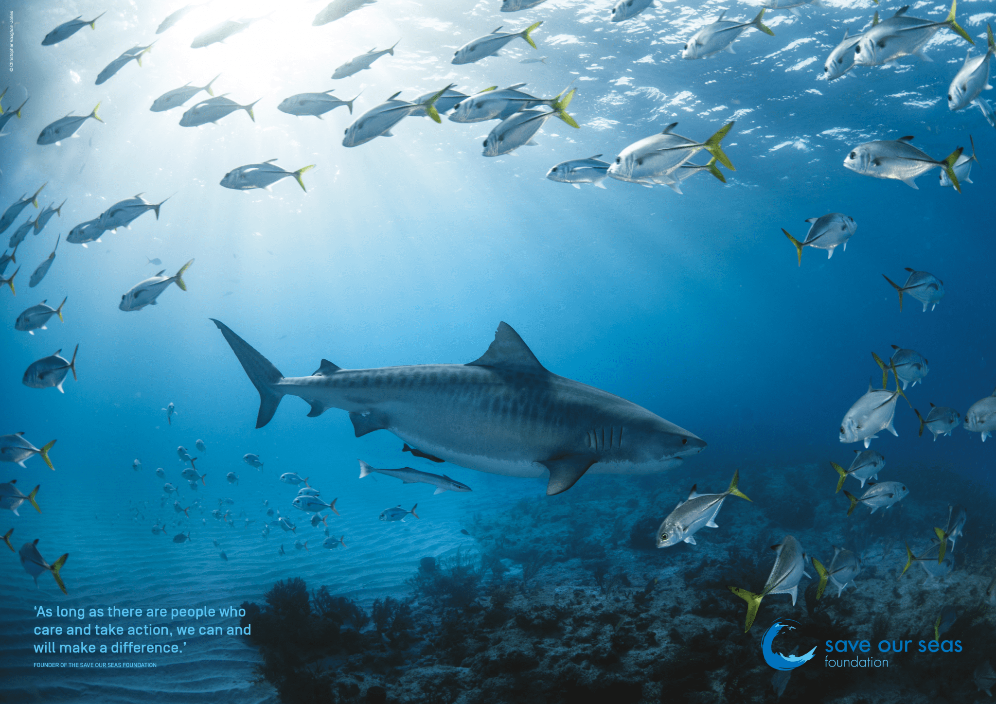 Public poster - Save Our Seas Foundation