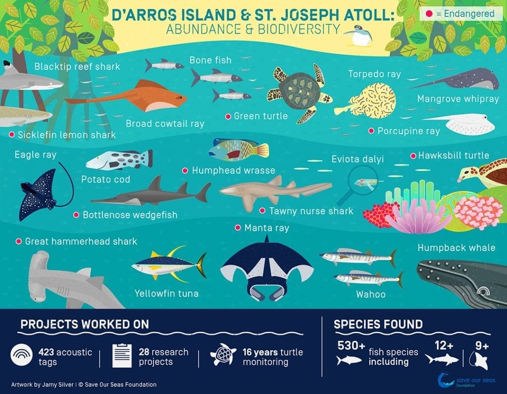 20200324-IM01-SOS-MPA-Infographic_ENG_Biodiversity_Final - Save Our ...