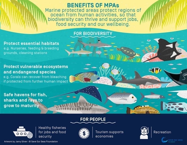 20200324-IM01-SOS-MPA-Infographic_ENG_MPA_Final - Save Our Seas Foundation