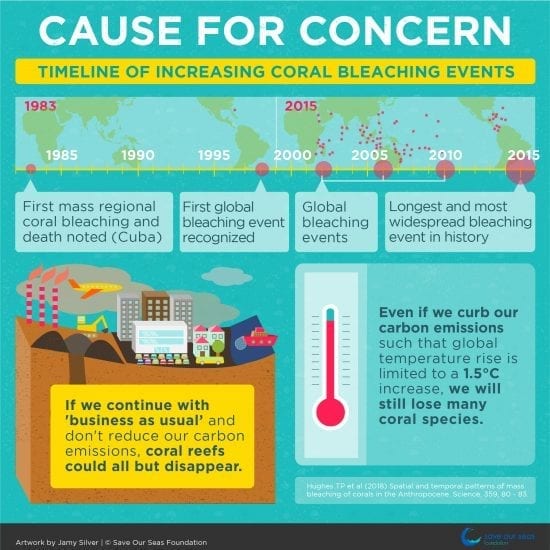 Coral bleaching - Save Our Seas Foundation
