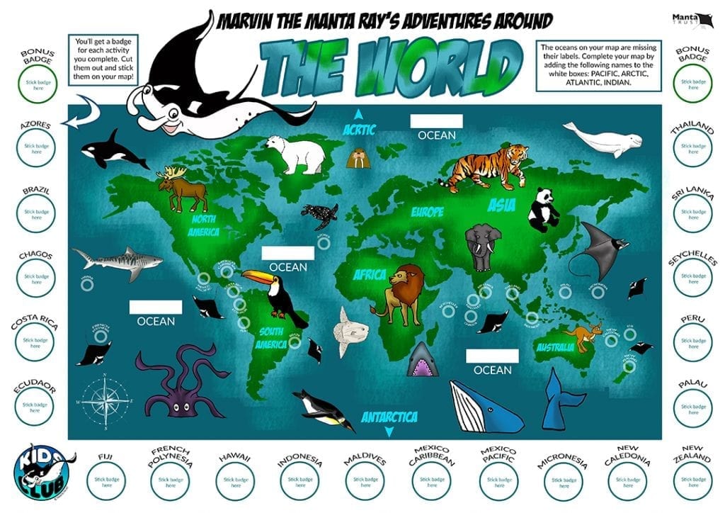 Introducing the Manta Trust kid’s club - Save Our Seas Foundation