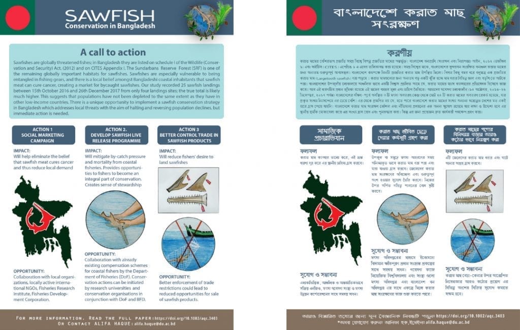 Saving sawfishes, or failing sawfishes? - Save Our Seas Foundation