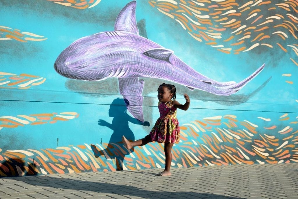 Connecting ocean lovers, art & conservation - Save Our Seas Foundation