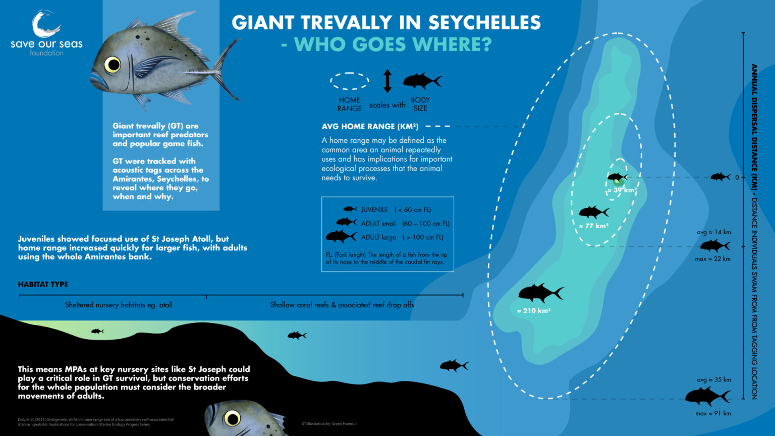 Three years of tracking trevally - what did we find? - Save Our Seas ...