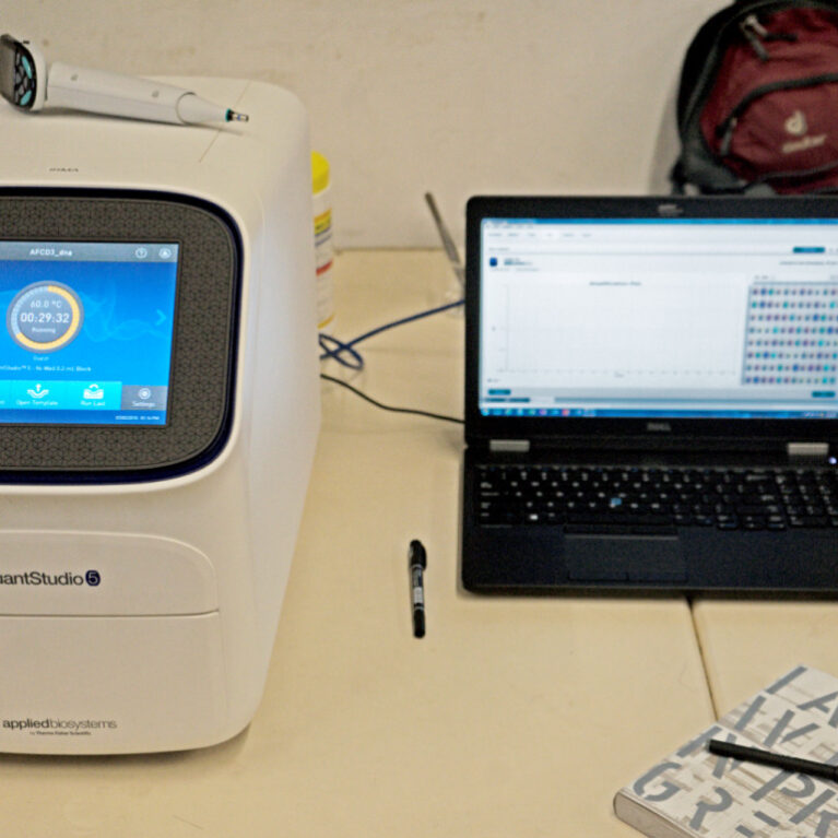 Rapid-DNA-testing gives hope for ‘rhino rays’ in Hong Kong - Save Our ...