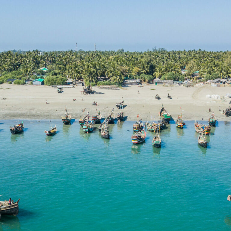 Protecting rhino-rays in the world’s largest bay - Save Our Seas Foundation