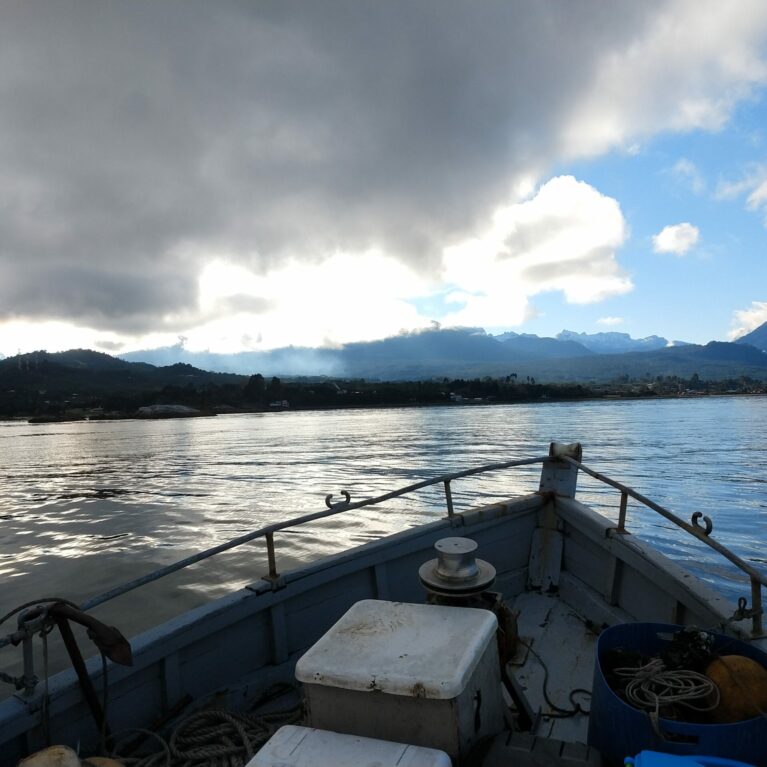 Of sharks, salmon and sea-farms - Save Our Seas Foundation