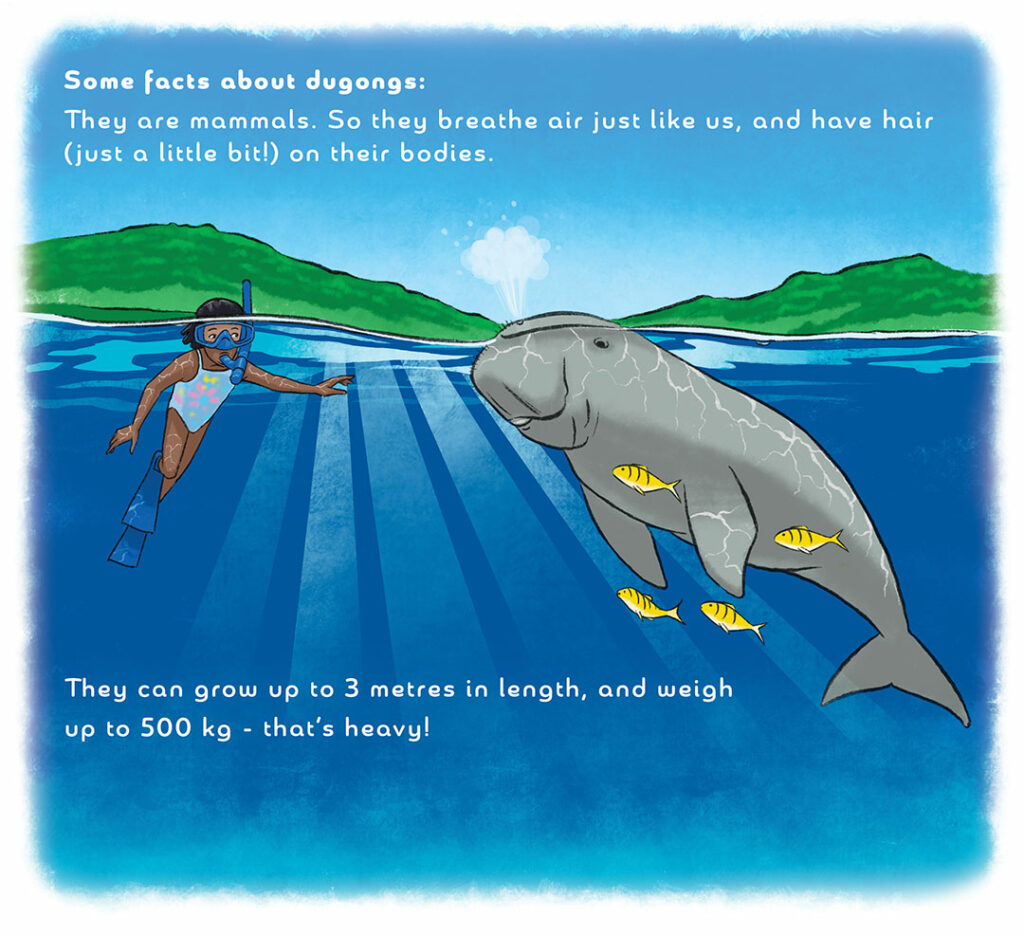 The Dugongs of Bazaruto - Save Our Seas Foundation