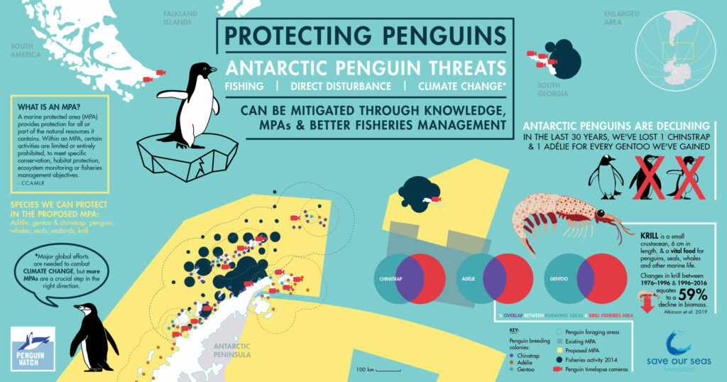 Antarctica: A balancing act - Save Our Seas Foundation