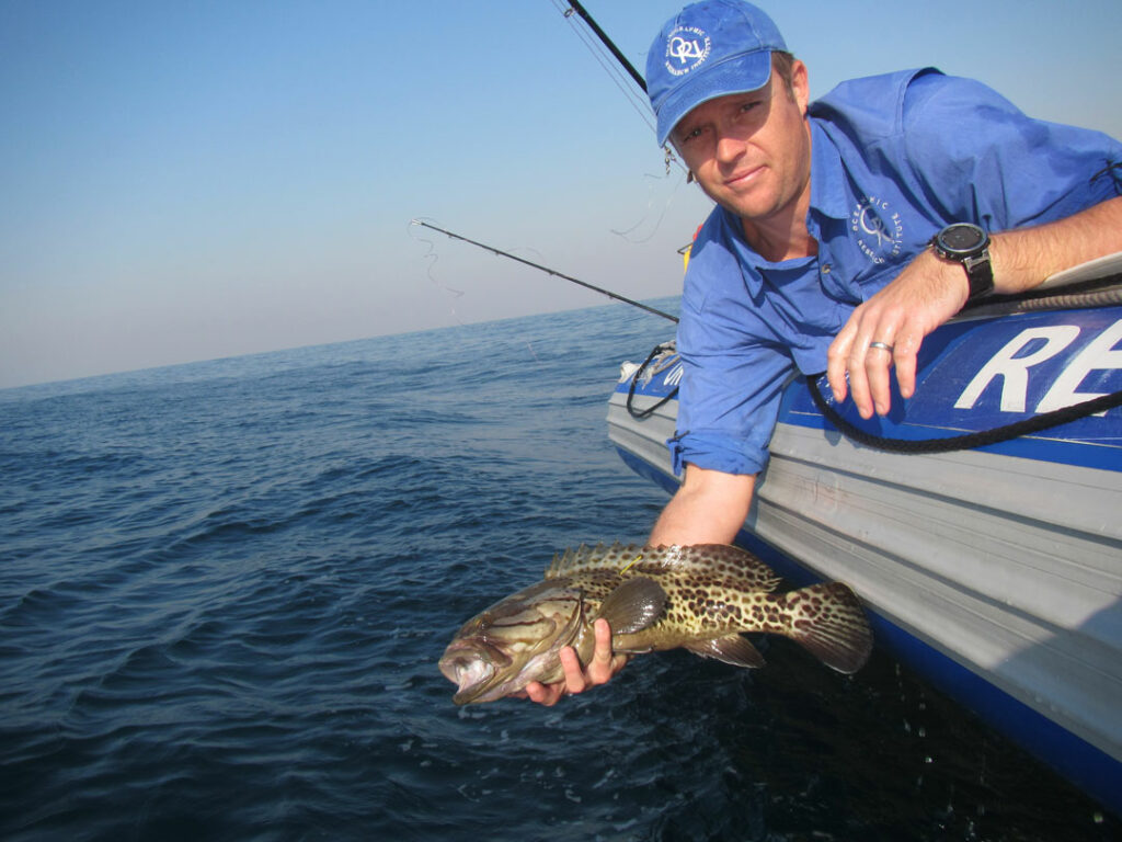 Catface rockcod – are they stayers or movers? - Save Our Seas Foundation